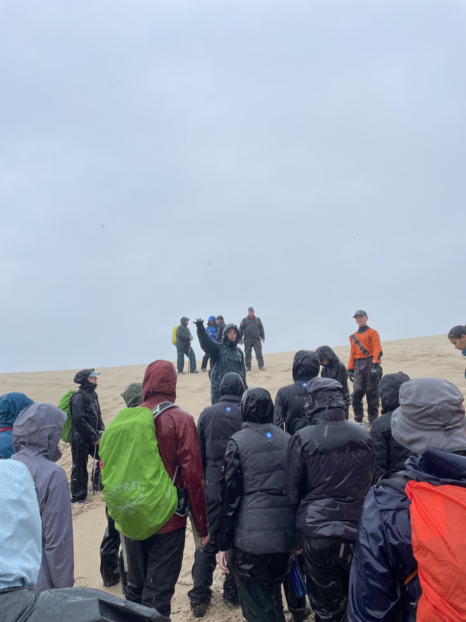 My Experience at Sable Island and How to Visit There Yourself – Echoes ...