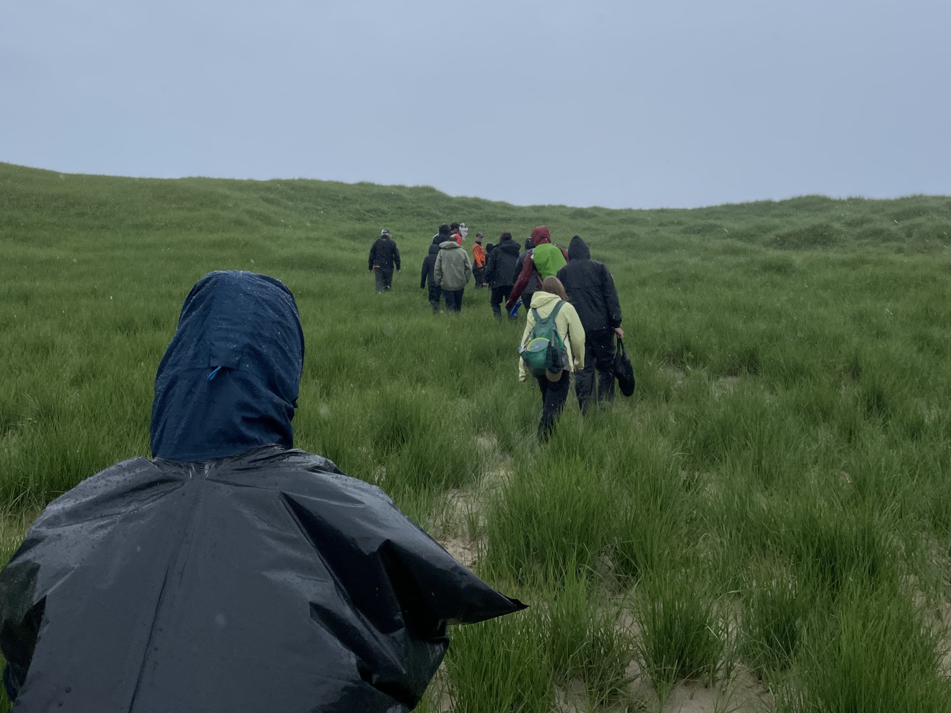 My Experience at Sable Island and How to Visit There Yourself – Echoes ...