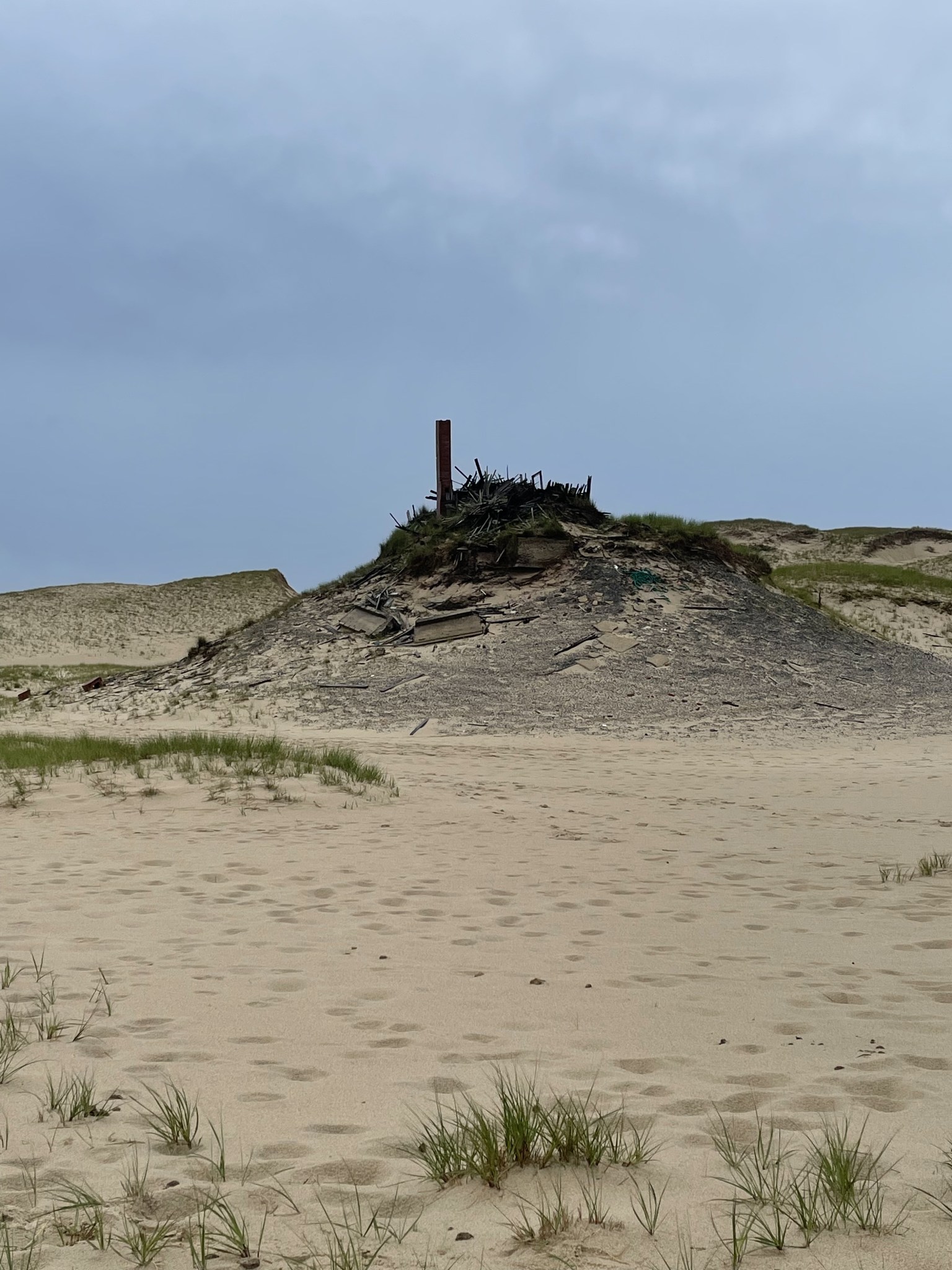 My Experience at Sable Island and How to Visit There Yourself – Echoes ...