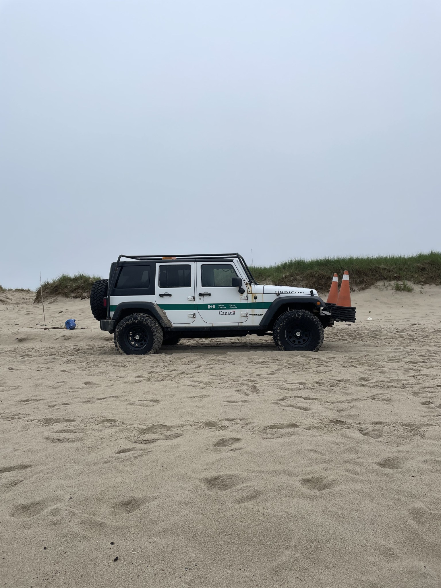 My Experience at Sable Island and How to Visit There Yourself – Echoes ...