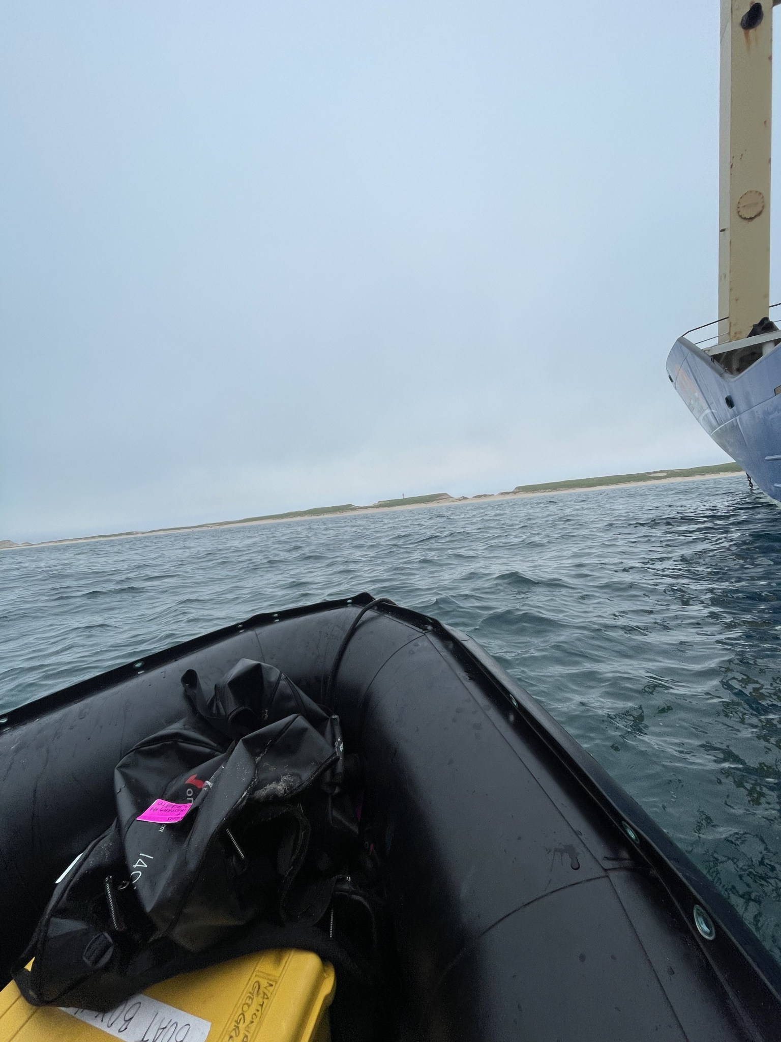 My Experience at Sable Island and How to Visit There Yourself – Echoes ...