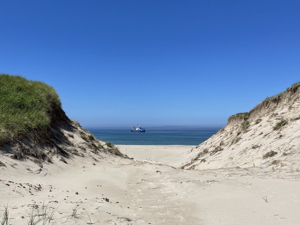 My Experience at Sable Island and How to Visit There Yourself – Echoes ...
