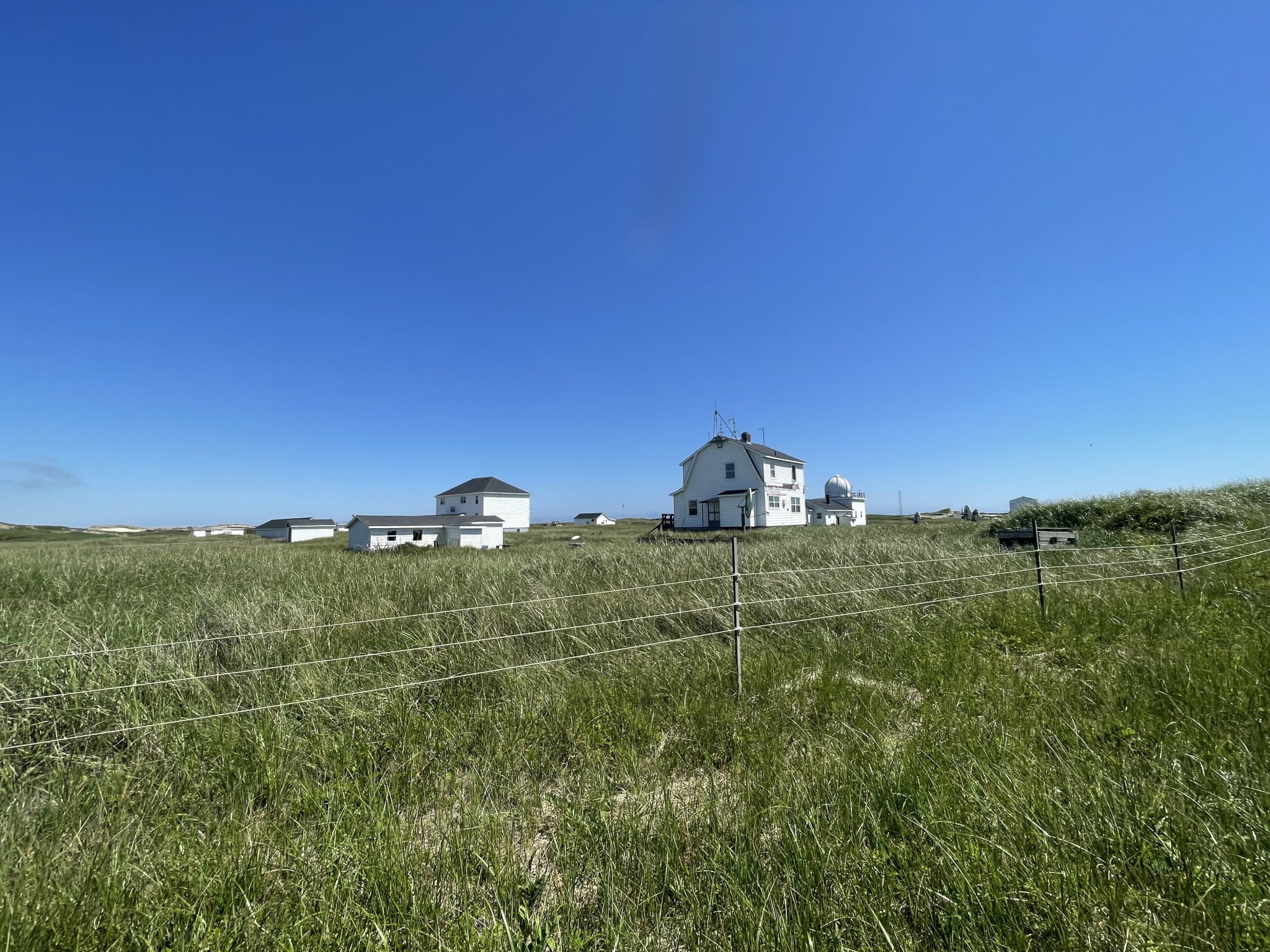 My Experience at Sable Island and How to Visit There Yourself – Echoes ...
