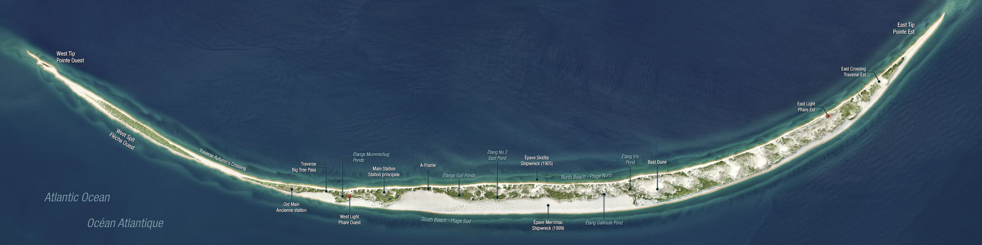 My Experience at Sable Island and How to Visit There Yourself – Echoes ...