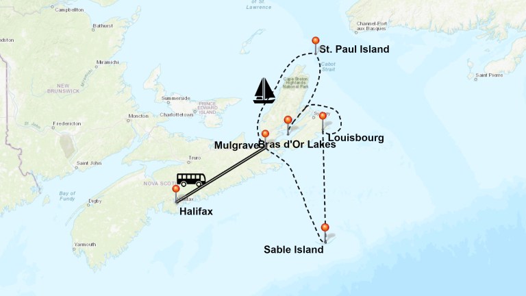 My Experience at Sable Island and How to Visit There Yourself – Echoes ...